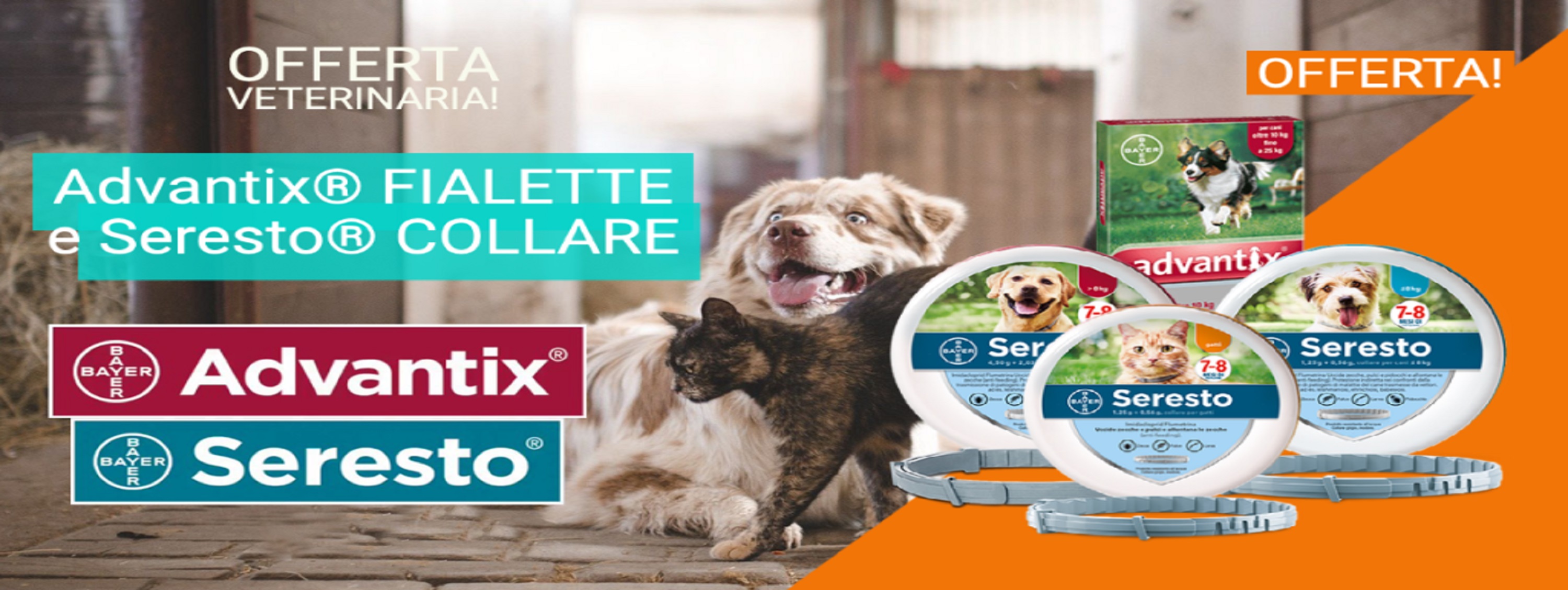 Home | Farmafamily.it - Ecommerce Farmacia